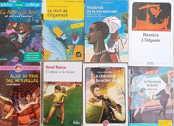 Idées pour se procurer les livres de littérature demandés au collège et ...